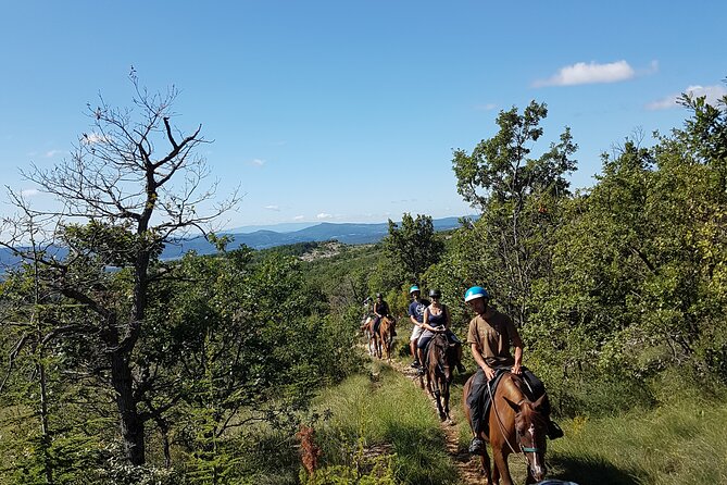Horse Ride in Haute Provence Luberon and Forcalquier - Exploring the Landscapes of Haute-Provence