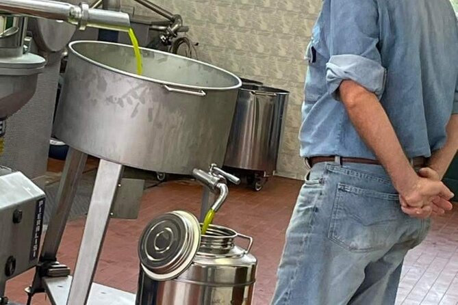 Horse Ride, Olive Oil and Local Foods Tasting in a Tuscan Farm - Visit to a Medieval Castle or Historic Farm