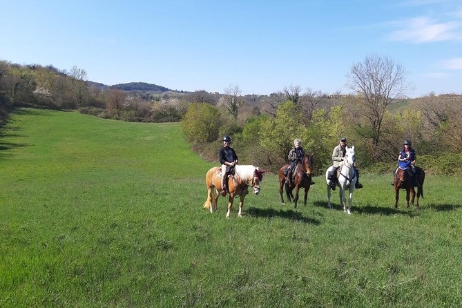Horse Ride, Olive Oil and Local Foods Tasting in a Tuscan Farm - Tuscan Light Lunch