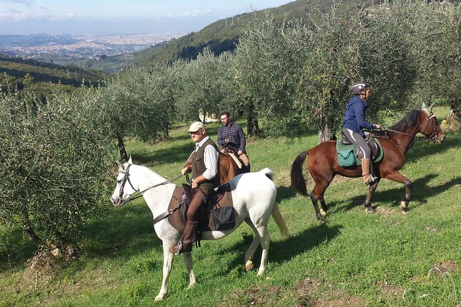 Horse Ride, Olive Oil and Local Foods Tasting in a Tuscan Farm - Accessibility Considerations
