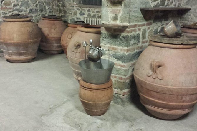 Horse Ride, Olive Oil and Local Foods Tasting in a Tuscan Farm - Reviews and Pricing