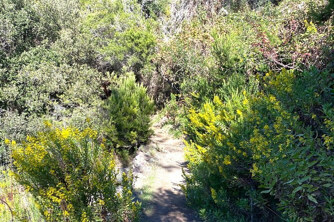 Horse Ride on the Coast of Monterosso Al Mare Cinque Terre - Key Points