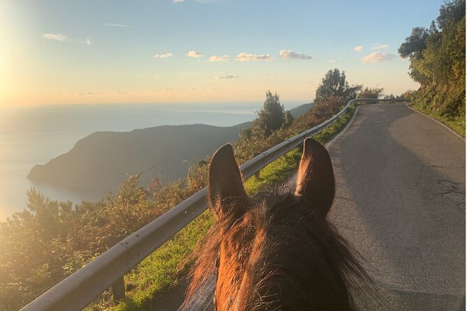 Horse Ride on the Coast of Monterosso Al Mare Cinque Terre - Included and Additional Information