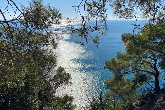 Horse Ride on the Coast of Monterosso Al Mare Cinque Terre - Traveler Highlights and Recommendations