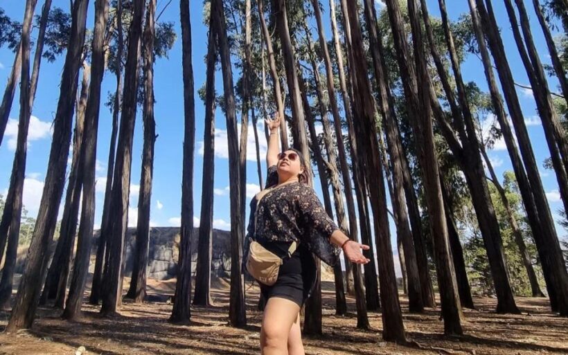 Horse ride through Sacsayhuaman, Qenqo and eucalyptus forest - The Sum Up