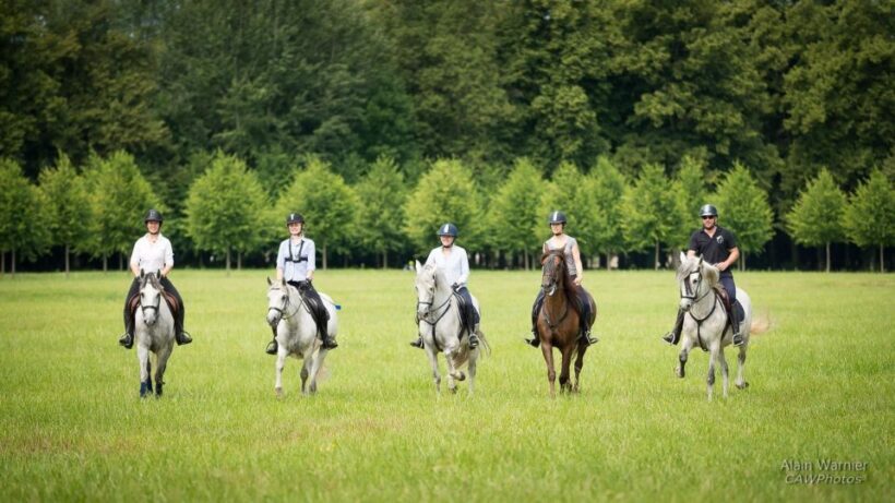 Horse ride Versailles Intimacy & ViP - Key Points