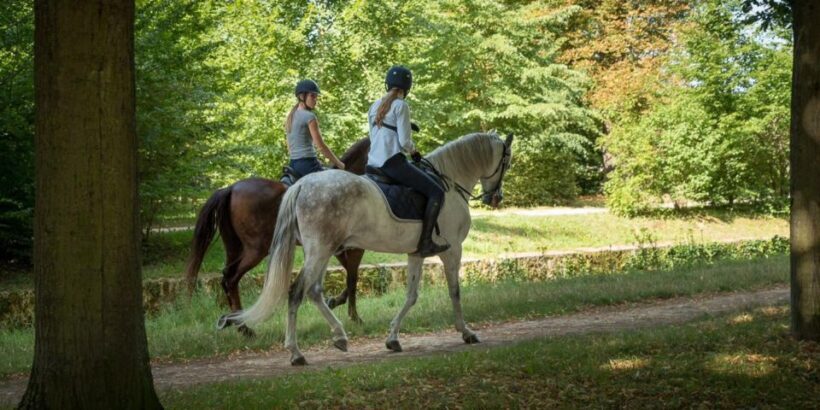 Horse ride Versailles Intimacy & ViP - A Closer Look at the Versailles Horseback Ride
