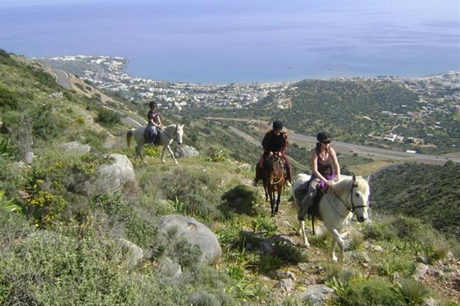 HORSE RIDING 1.5 hours mountains from area Hersonissos CRETE - The Sum Up: Is This Tour Right for You?