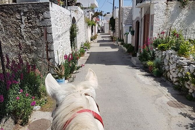 HORSE RIDING 1.5 hours mountains from area Hersonissos CRETE - FAQ: Your Questions Answered
