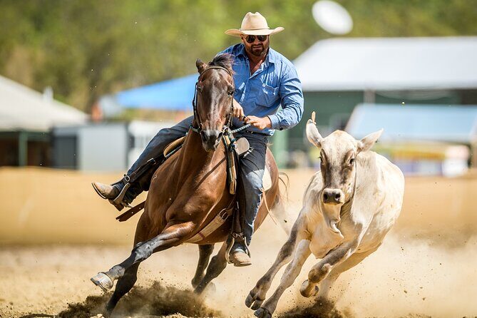 Horse Riding Adventure in the Outback - Key Points