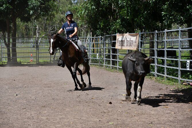 Horse Riding Adventure in the Outback - What the Tour Entails: A Detailed breakdown