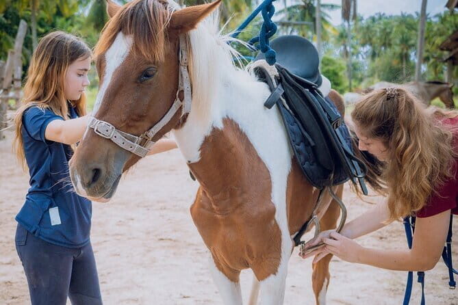 Horse Riding and Beach Trails on Koh Samui - The Experience for Different Travelers