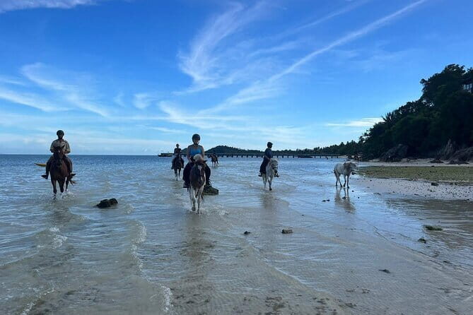 Horse Riding and Beach Trails on Koh Samui - FAQ