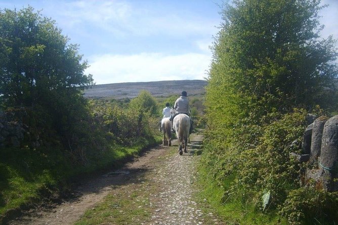 Horse riding - Burren Trail. Lisdoonvarna, Co Clare. Guided. 3 hours. - The Sum Up: Who Should Consider This Experience?