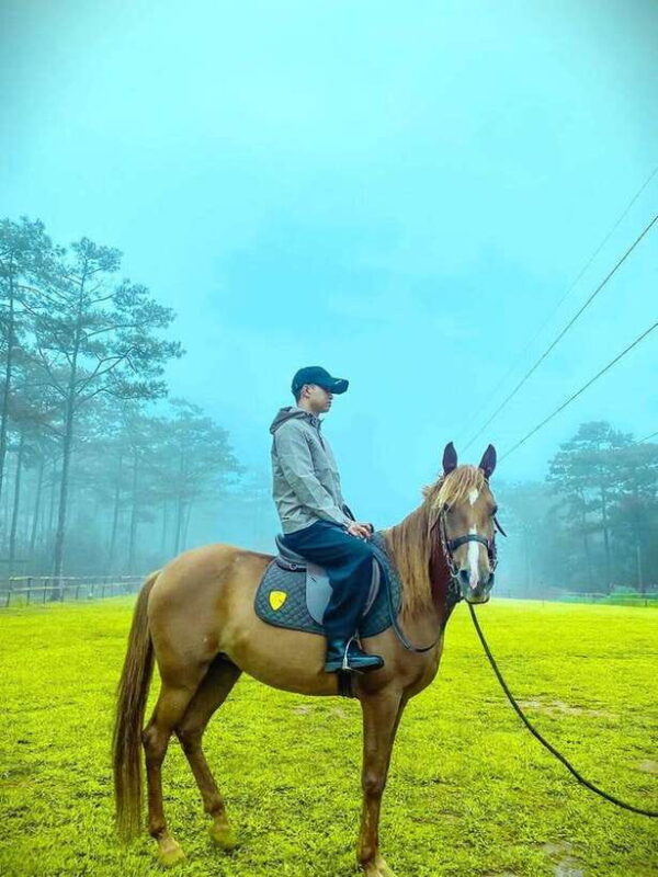 Horse Riding Course in Mang Den with Pickup and Drinks - The Value for the Price