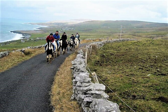 Horse riding - Dirt Trek Trail. Lisdoonvarna, Clare. Guided. 1 hour. - The Experiences Value and Cost Analysis
