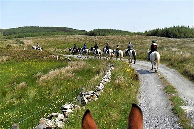 Horse riding - Dirt Trek Trail. Lisdoonvarna, Clare. Guided. 1 hour. - Who Should Book This Tour?