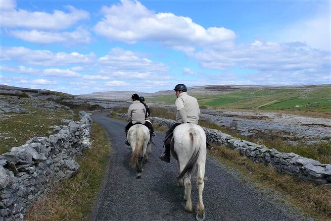 Horse riding - Dirt Trek Trail. Lisdoonvarna, Clare. Guided. 1 hour. - The Sum Up: Is it Worth It?