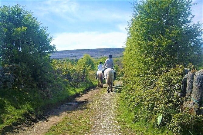 Horse riding - Dirt Trek Trail. Lisdoonvarna, Clare. Guided. 1 hour. - FAQs