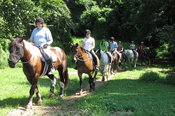 Horse riding excursion - Authenticity and Value