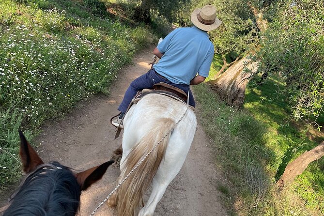 Horse riding excursion - FAQ