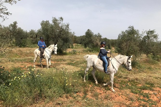 Horse Riding Excursion From Seville - Participant Requirements and Recommendations