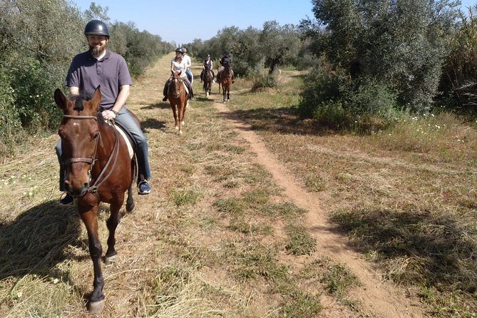 Horse Riding Excursion From Seville - What to Expect During the Tour