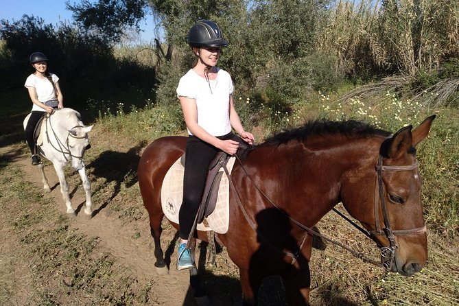 Horse Riding Excursion From Seville - Customer Reviews and Experiences
