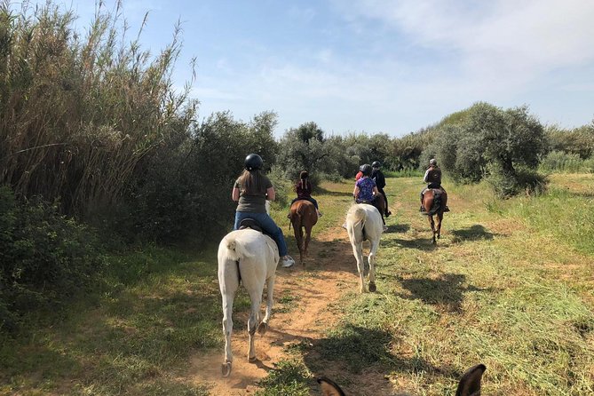 Horse Riding Excursion From Seville - Additional Services and Customization Options