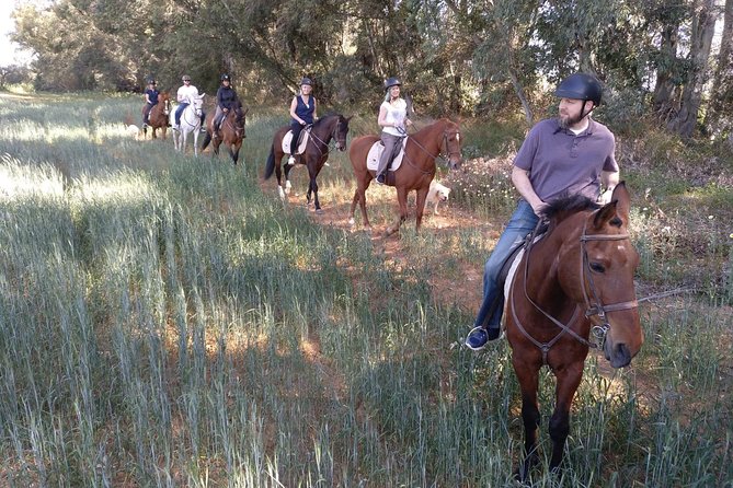Horse Riding Excursion From Seville - Location and Meeting Point Details