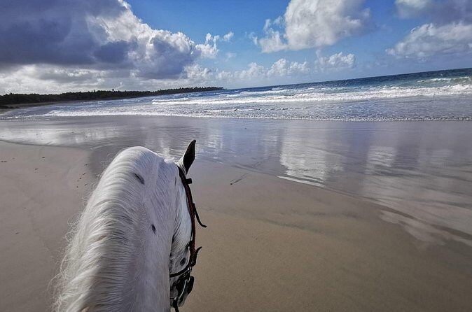 Horse Riding Experience through El Limon Beach - Final Thoughts