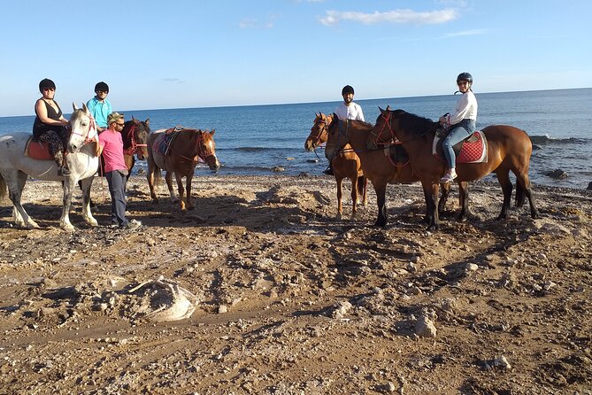 Horse Riding--Explore Secret Thera - Exceptional Equine Encounters