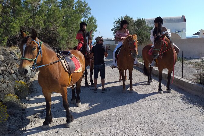 Horse Riding--Explore Secret Thera - Trotting Through Terraced Vineyards