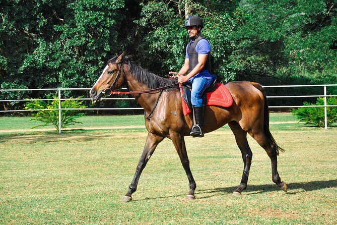 Horse Riding for Beginners from Negombo - What You Can Expect From This Horse Riding Experience