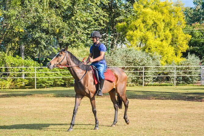 Horse Riding for Beginners from Negombo - The Ride’s Highlights and Practical Details