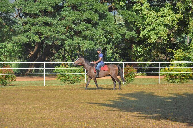 Horse Riding for Beginners from Negombo - Final Thoughts on Value and Authenticity