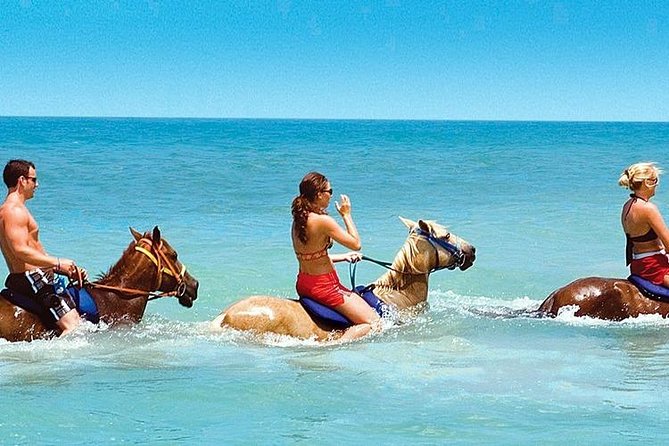Horse Riding From Kusadasi Port / Hotels - Introduction: A Horseback Adventure Worth Considering in Kusadasi