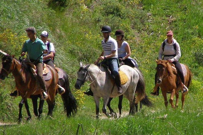 Horse Riding From Kusadasi Port / Hotels - What Makes This Experience Special