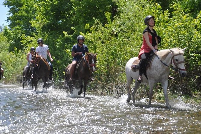 Horse Riding From Kusadasi Port / Hotels - Pricing and Value