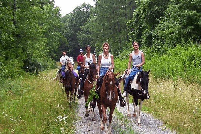 Horse Riding From Kusadasi Port / Hotels - The Sum Up: Is It Worth It?
