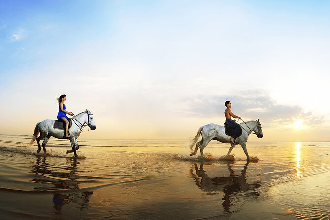 Horse Riding in Antalya,Belek,Lara Beach(Sunrise,Sunset,Day Time) - What to Expect on Your Horse Riding Adventure