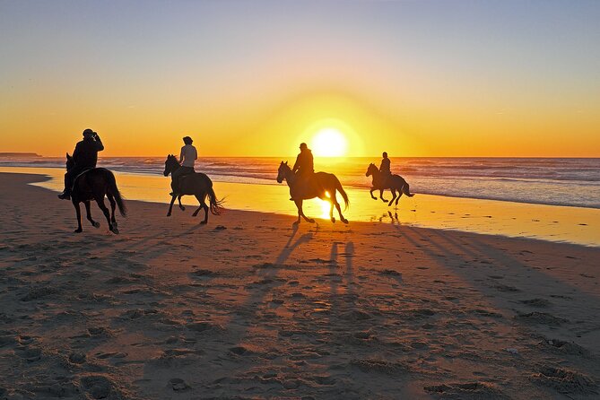 Horse Riding in Antalya,Belek,Lara Beach(Sunrise,Sunset,Day Time) - Tips for a Memorable Experience