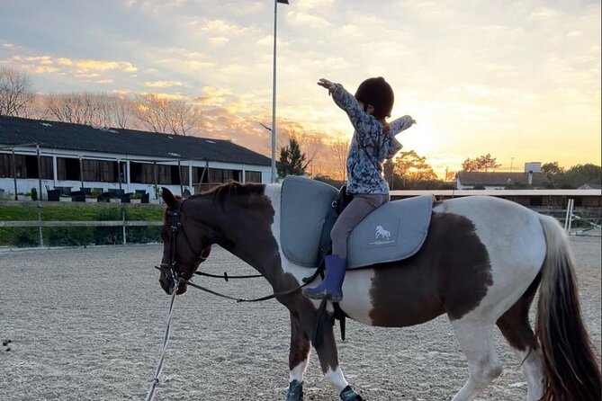 Horse Riding in Aveiro - Ílhavo - Who Will Enjoy This Tour?