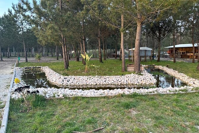 Horse Riding in Aveiro - Ílhavo - FAQ: Your Practical Questions Answered