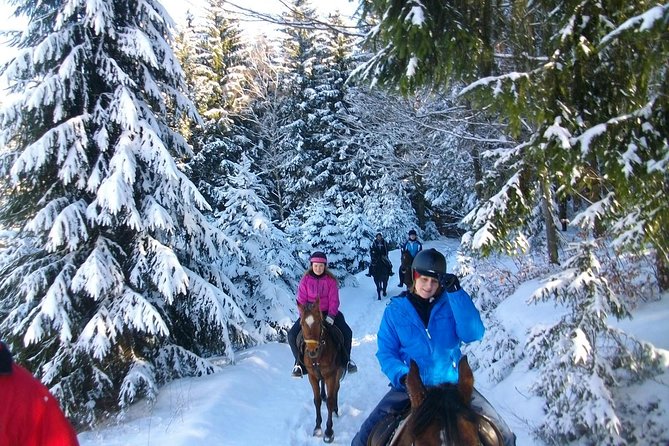 Horse Riding in Bled - What to Expect from the Horse Riding Tour