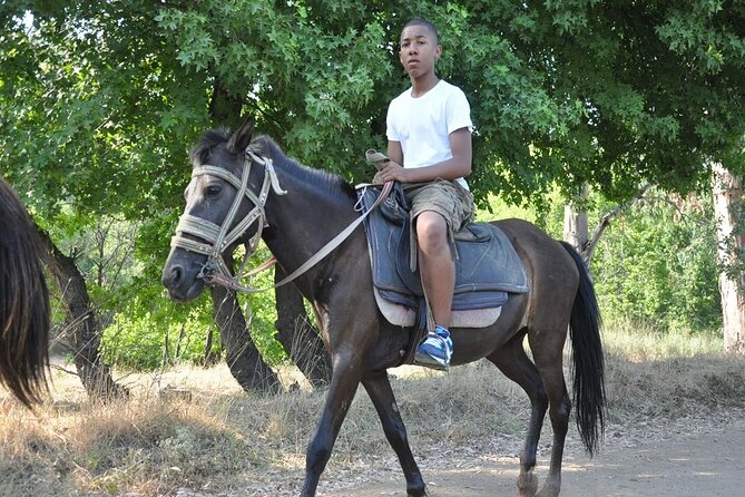 Horse Riding in Marmaris & Icmeler - Who Should Book This Tour?