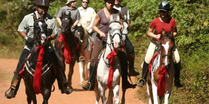 Horse Riding in Nuwara Eliya - Key Points