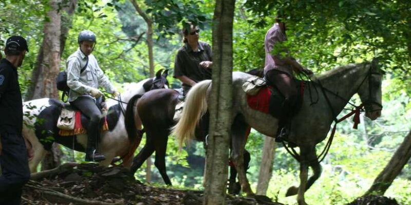 Horse Riding in Nuwara Eliya - Detailed Itinerary Breakdown