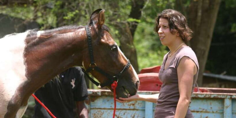 Horse Riding in Nuwara Eliya - What Travelers Say