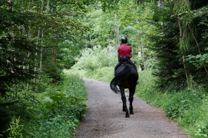Horse Riding in Nuwara Eliya - The Sum Up